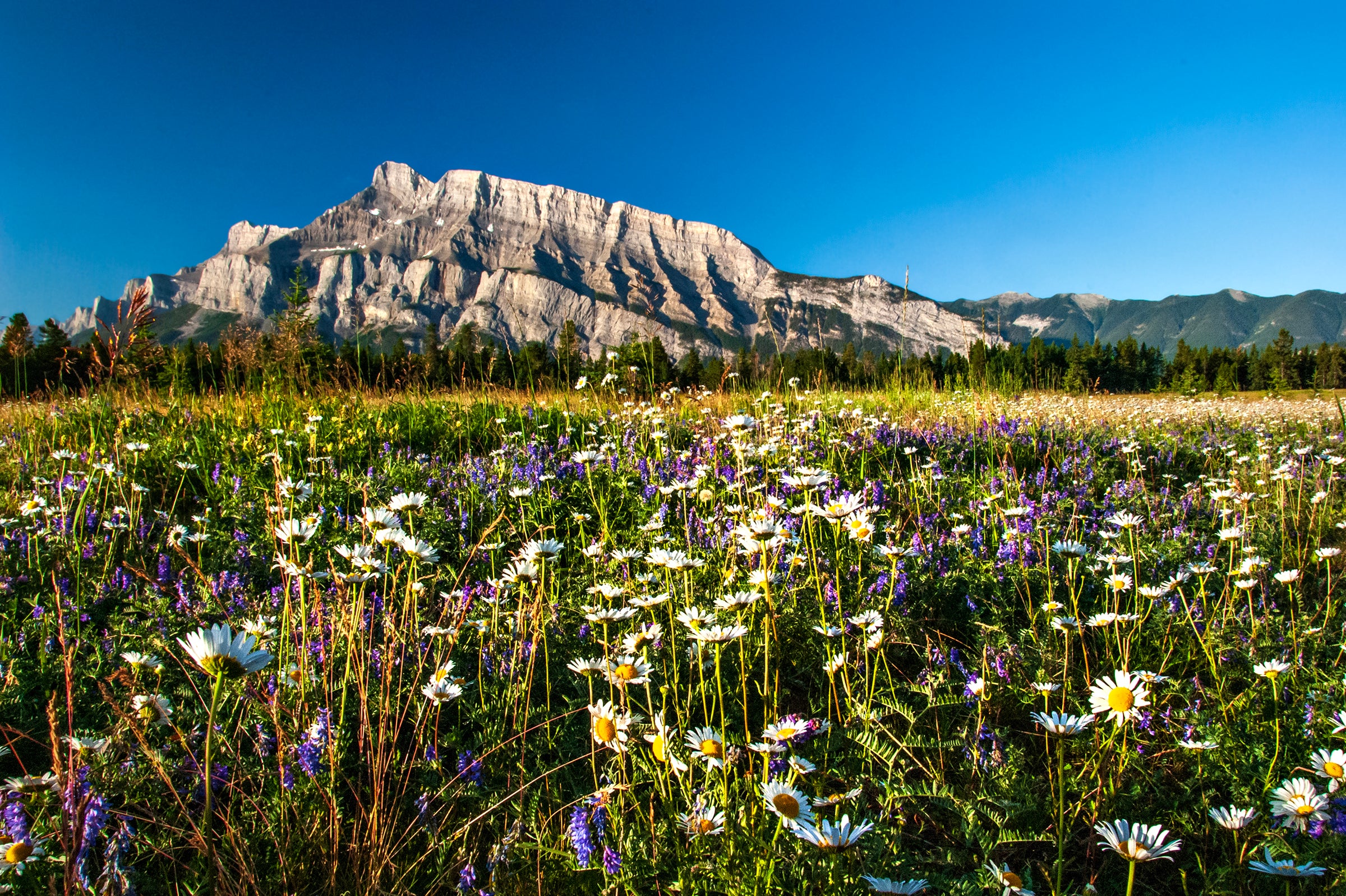 Mountains – HooverArts